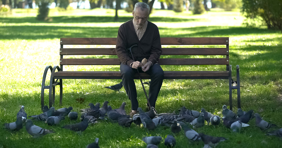 How Does Loneliness Lead to Cognitive Decline? | Wiser Lifestyles
