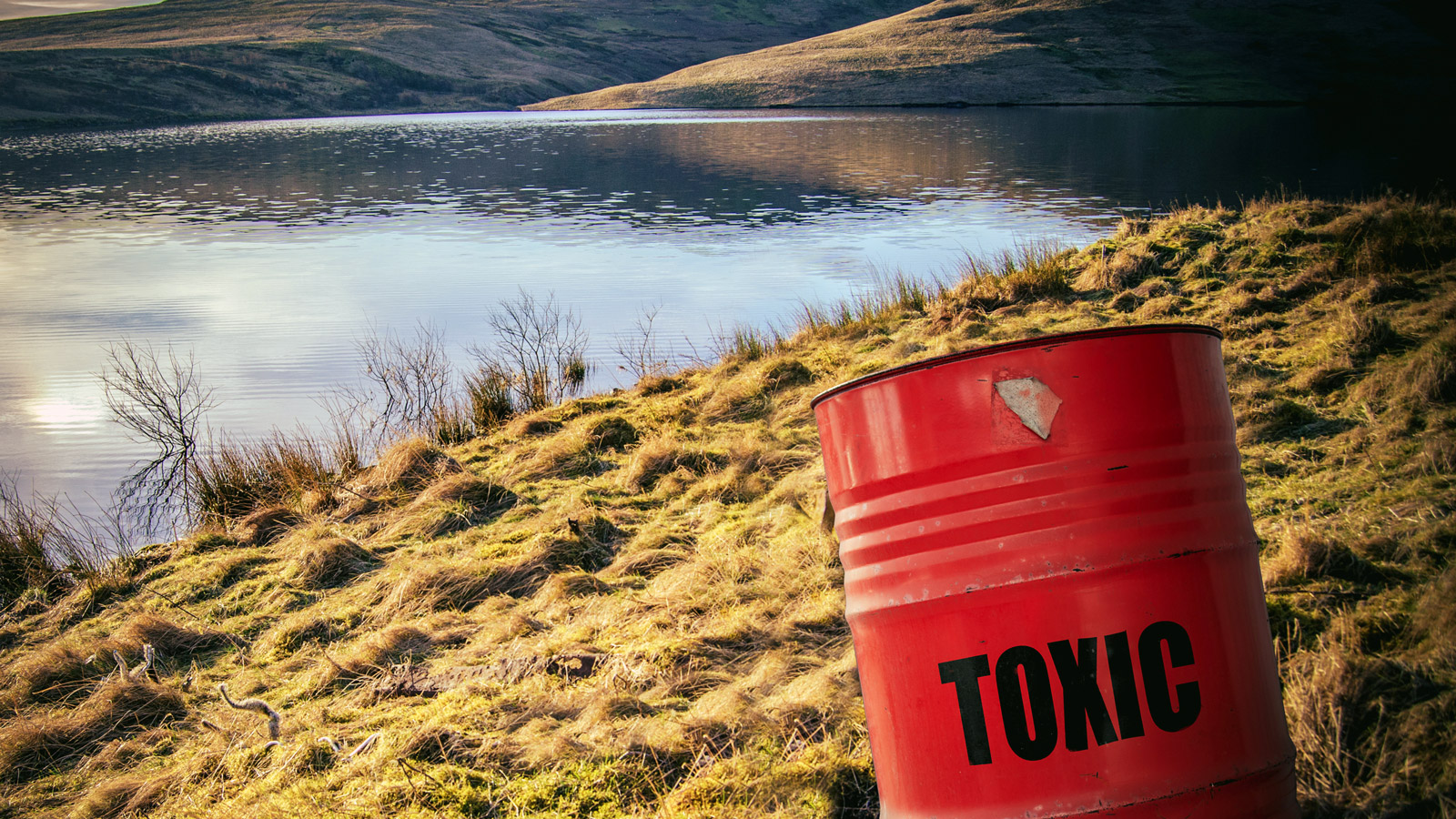 These Top 5 Detox Supplements Can Help Cleanse Your Body of Harmful ...